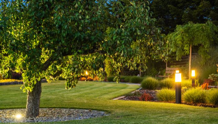 Лесни идеи за градината | 10 начина да съживите двора